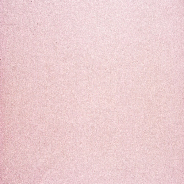 CF.25 FG. METAL ROSA GR.120 - BLISTER